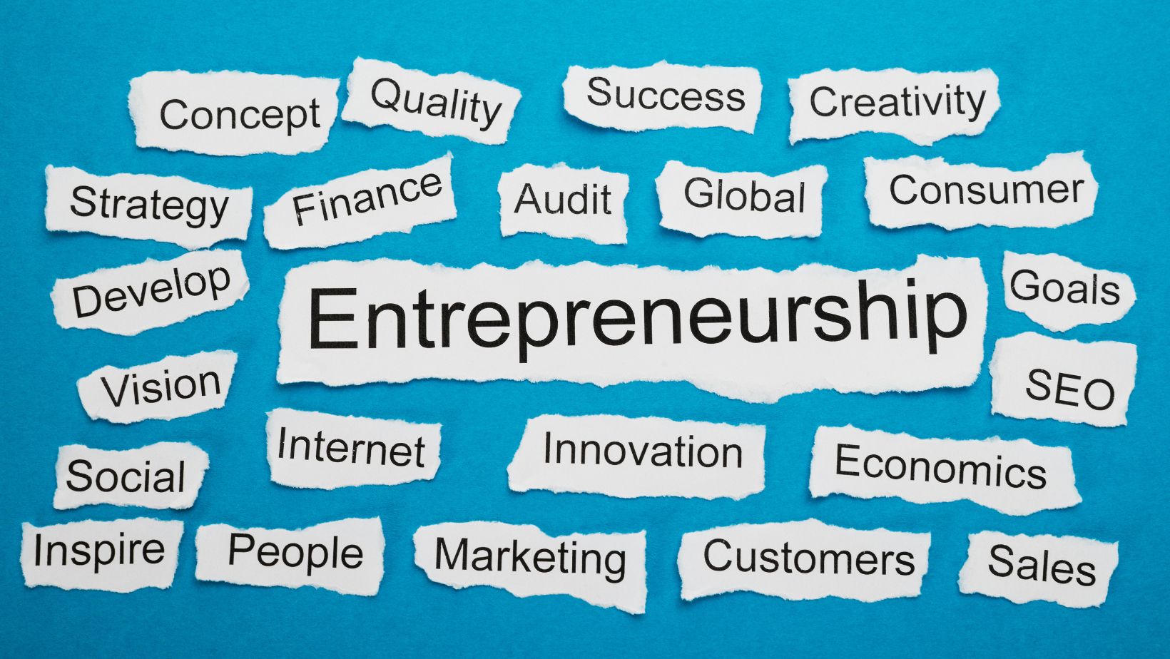 Key Principles and Strategies for Success the Definition of ...